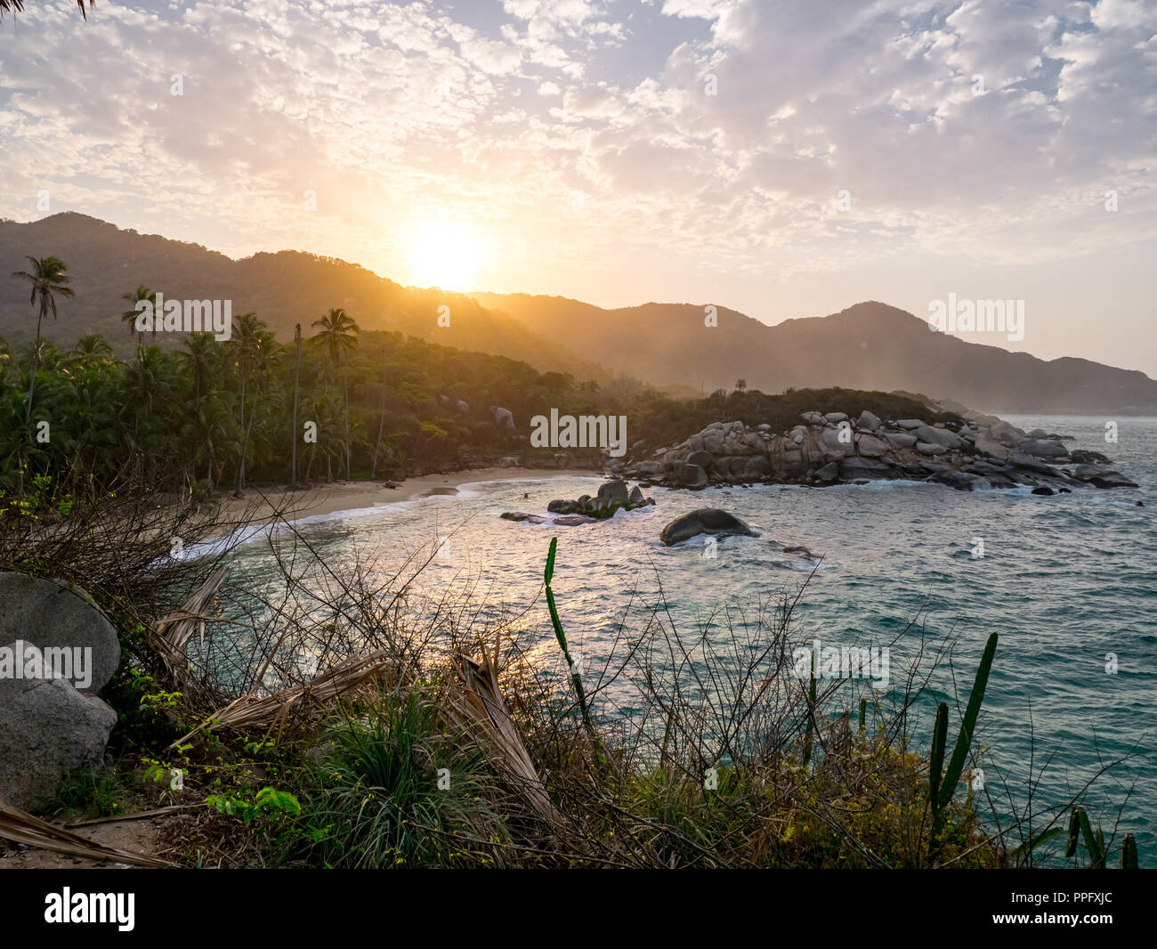 Beautiful Caribbean beach with palm trees and sunset in Tayrona ...
