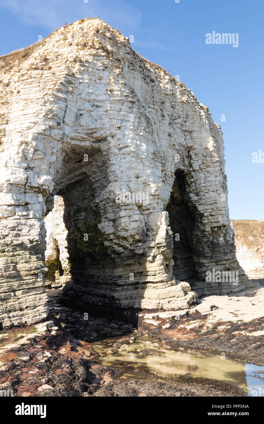 Flamborough Head Chalk Headland Yorkshire Stock Photos & Flamborough ...
