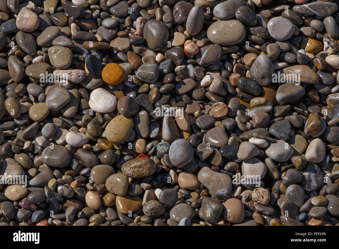 abstract natural background: pebble stones on beach in Nice Stock Photo ...