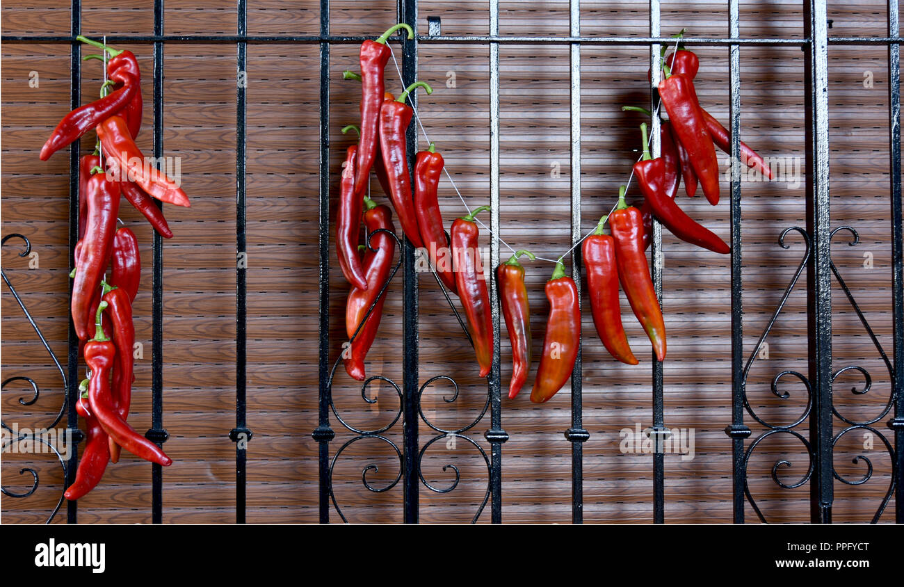 string of red peppers ready to dry Stock Photo - Alamy