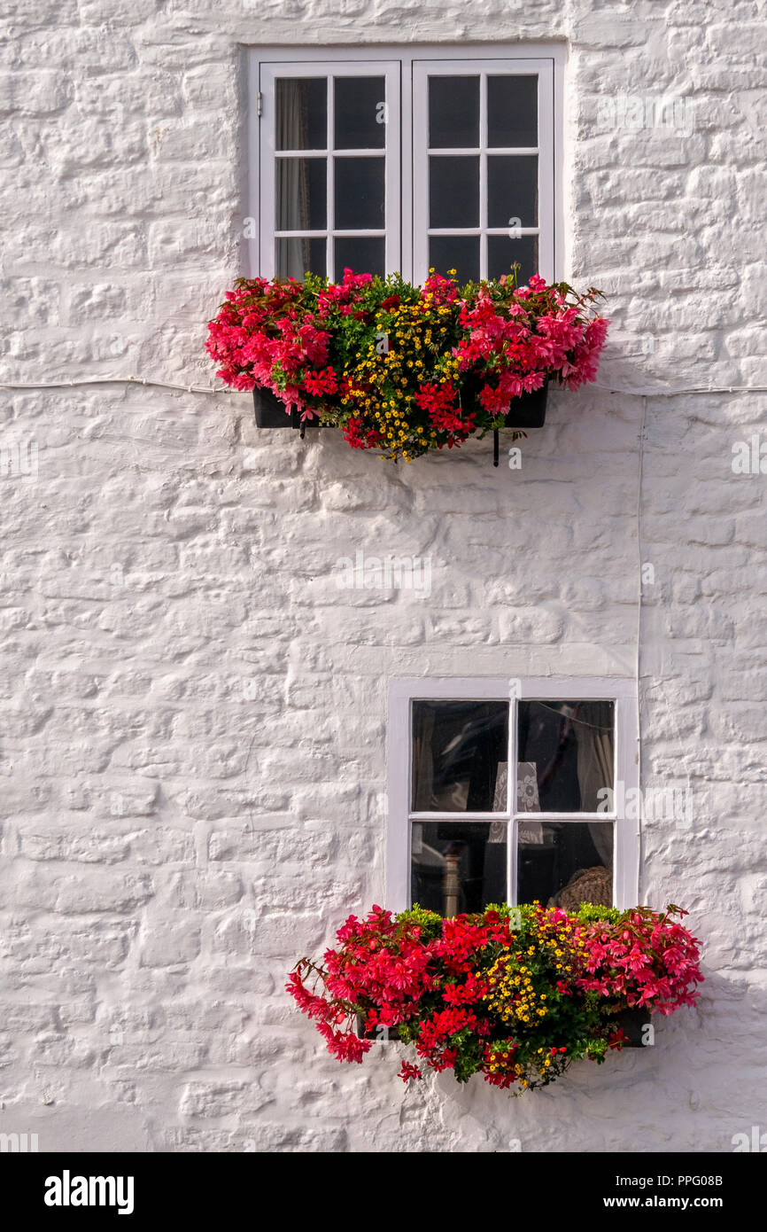 Red brick bay window uk hi-res stock photography and images - Alamy