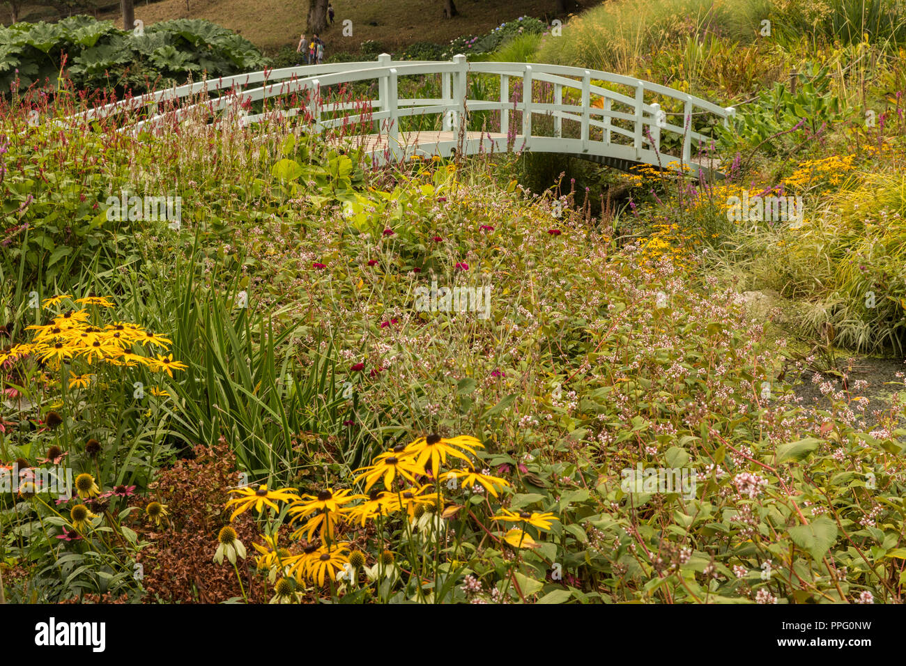 Trebah garden hi-res stock photography and images - Alamy