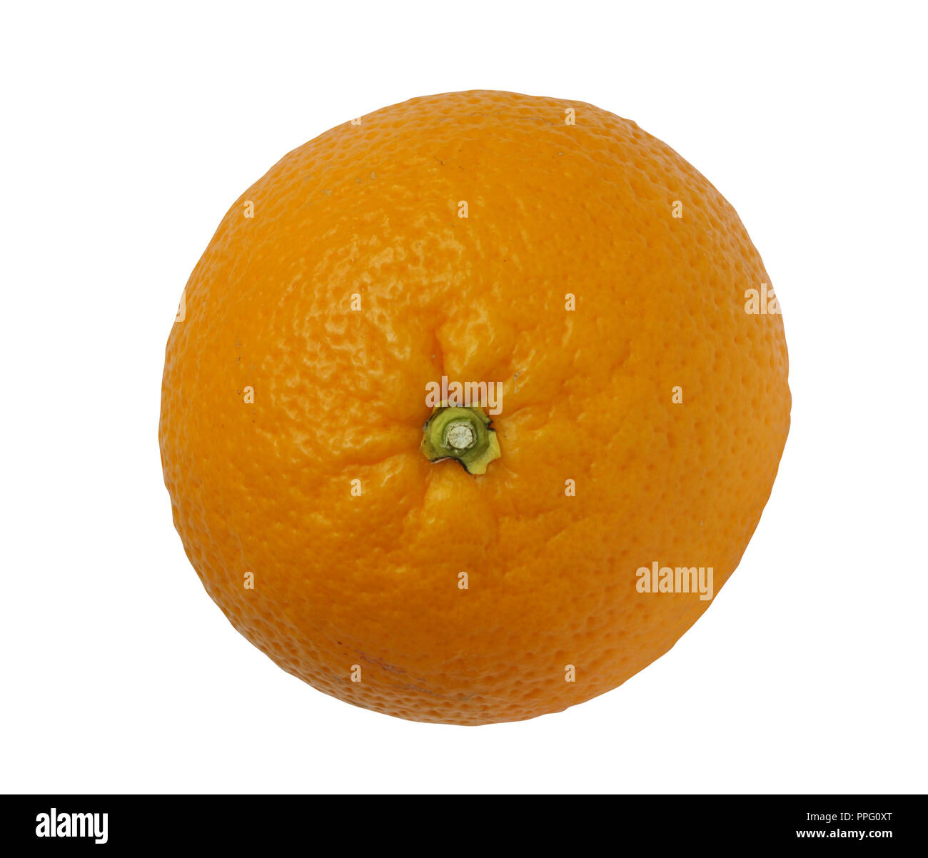 Orange fruit close up isolated on white background Stock Photo - Alamy