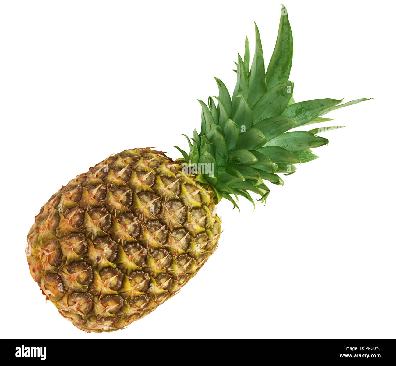 Pineapple fruit close up with leaves isolated on white background Stock ...