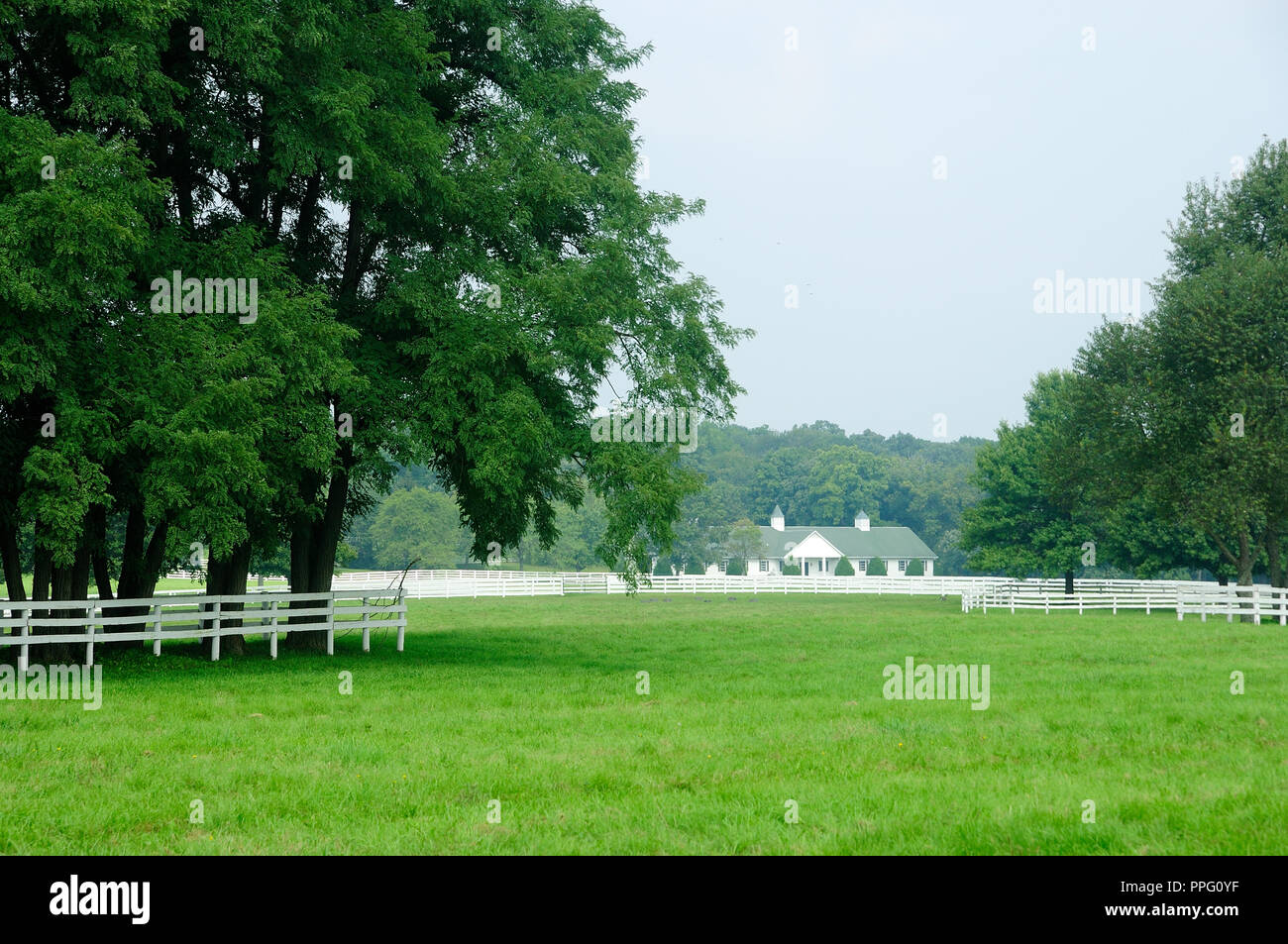 Horse farm pasture with trees ,fencing, and barn in background Stock ...