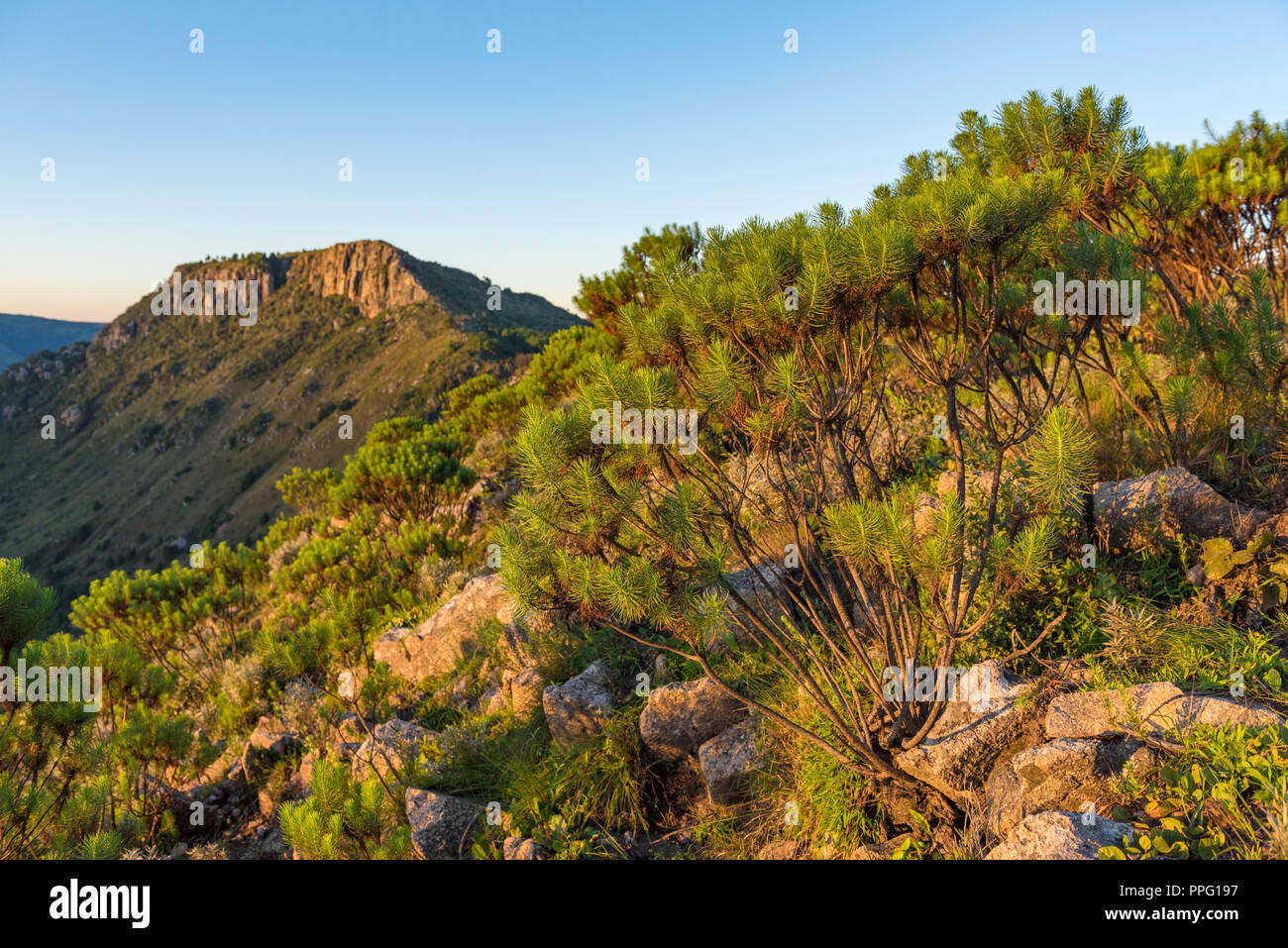 Worlds view in Zimbabwe's Eastern Highlands Stock Photo - Alamy