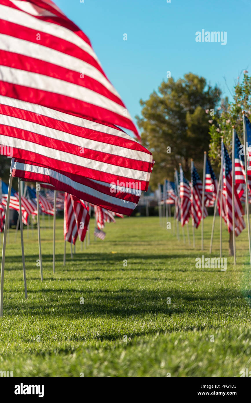 American flags in rows on grass, closeup of flag on left Stock Photo ...