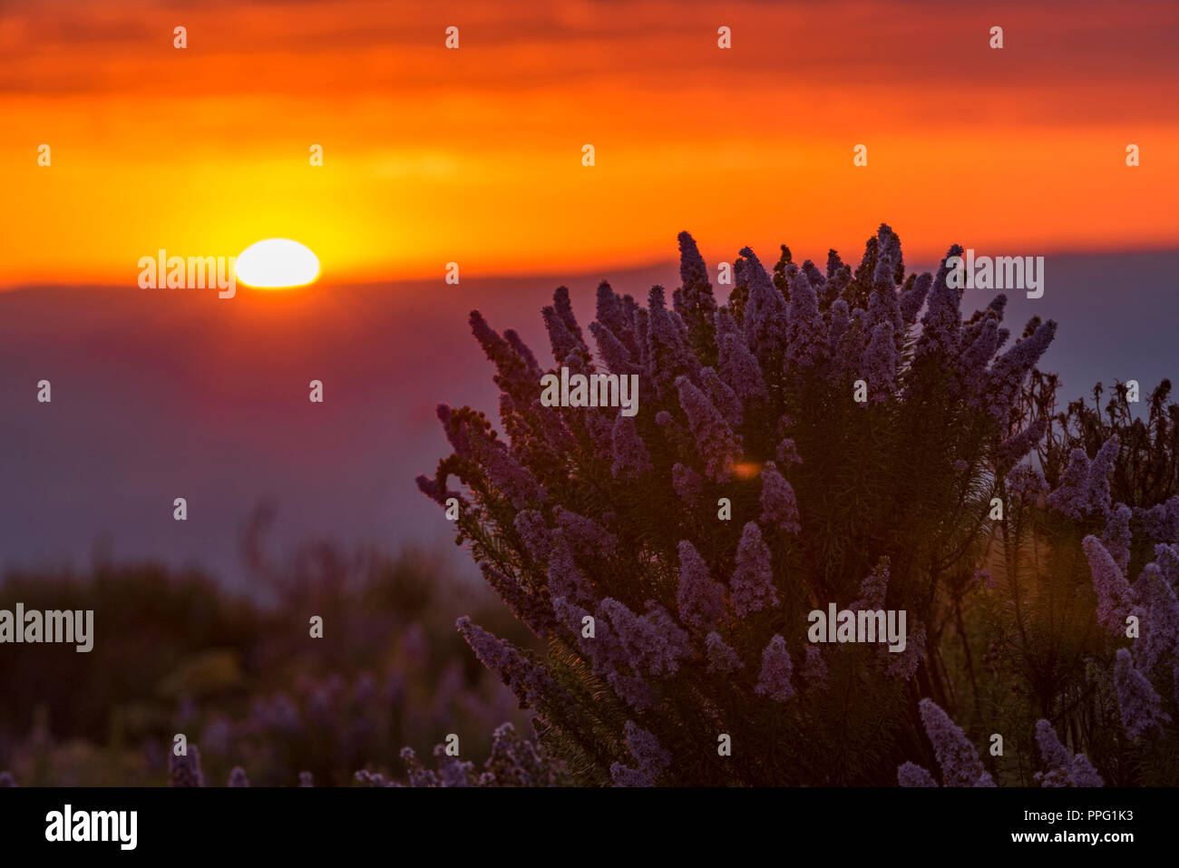 A sunset seen in Zimbabwe's Nyanga Stock Photo - Alamy