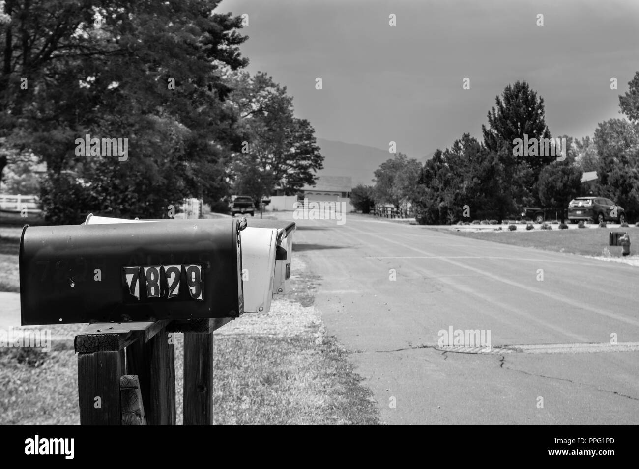 On front lawn house Black and White Stock Photos & Images - Alamy