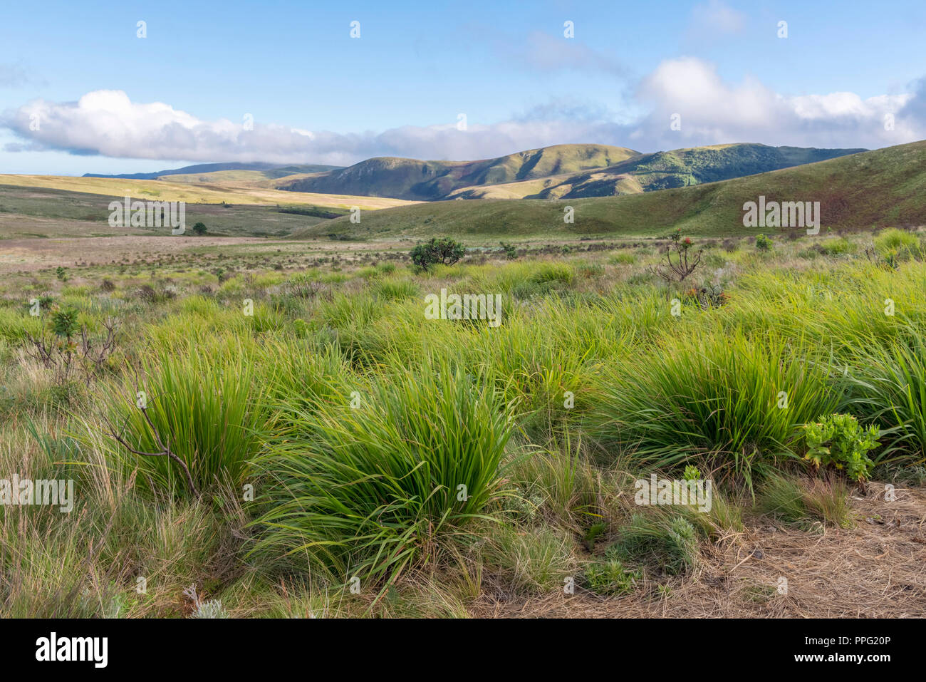 Views form the slopes of Mt Inyangani in Zimbabwe's Nyanga National ...