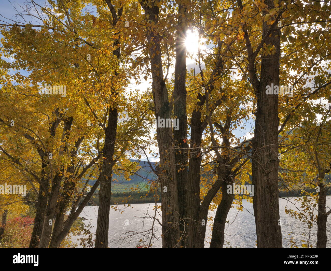 Autumn colors and scenes Stock Photo - Alamy