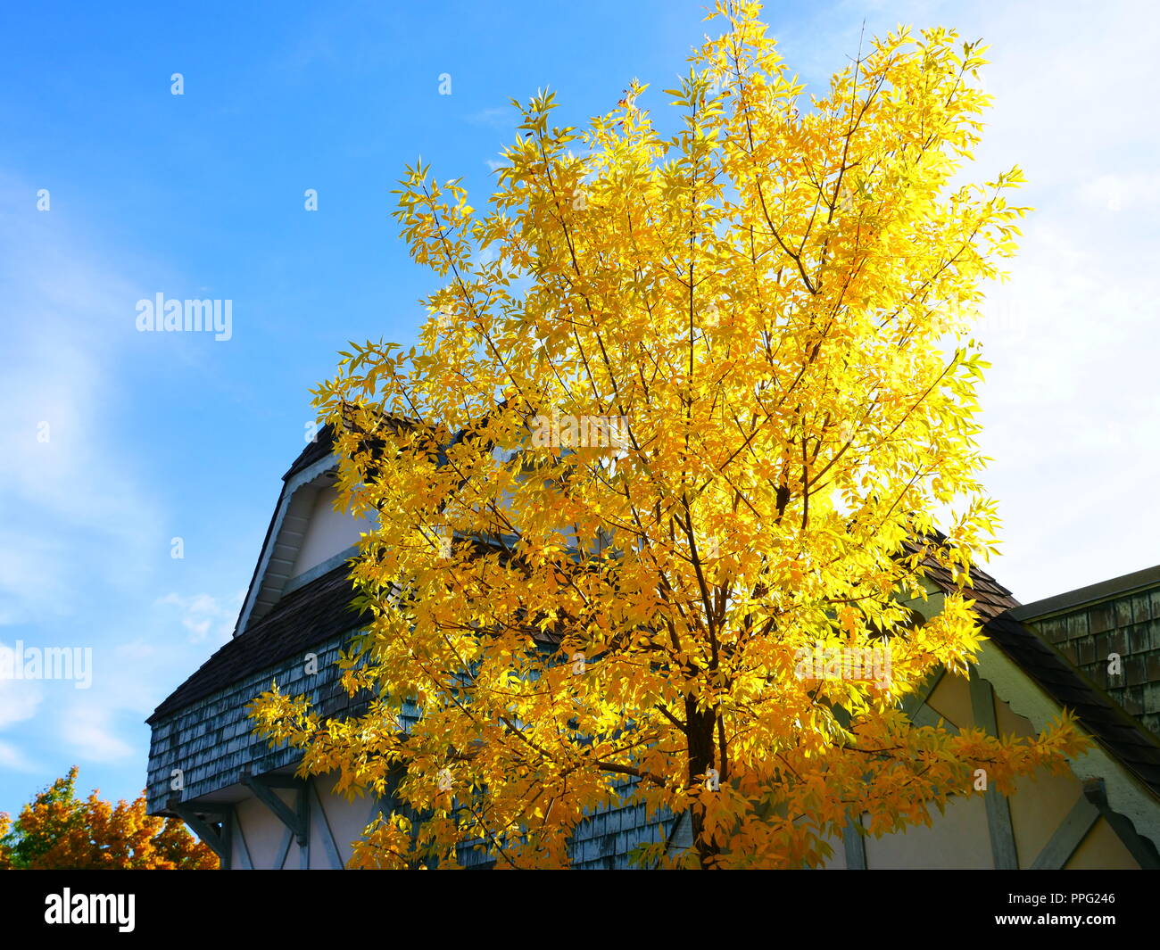 British columbia farm scenes hi-res stock photography and images - Alamy
