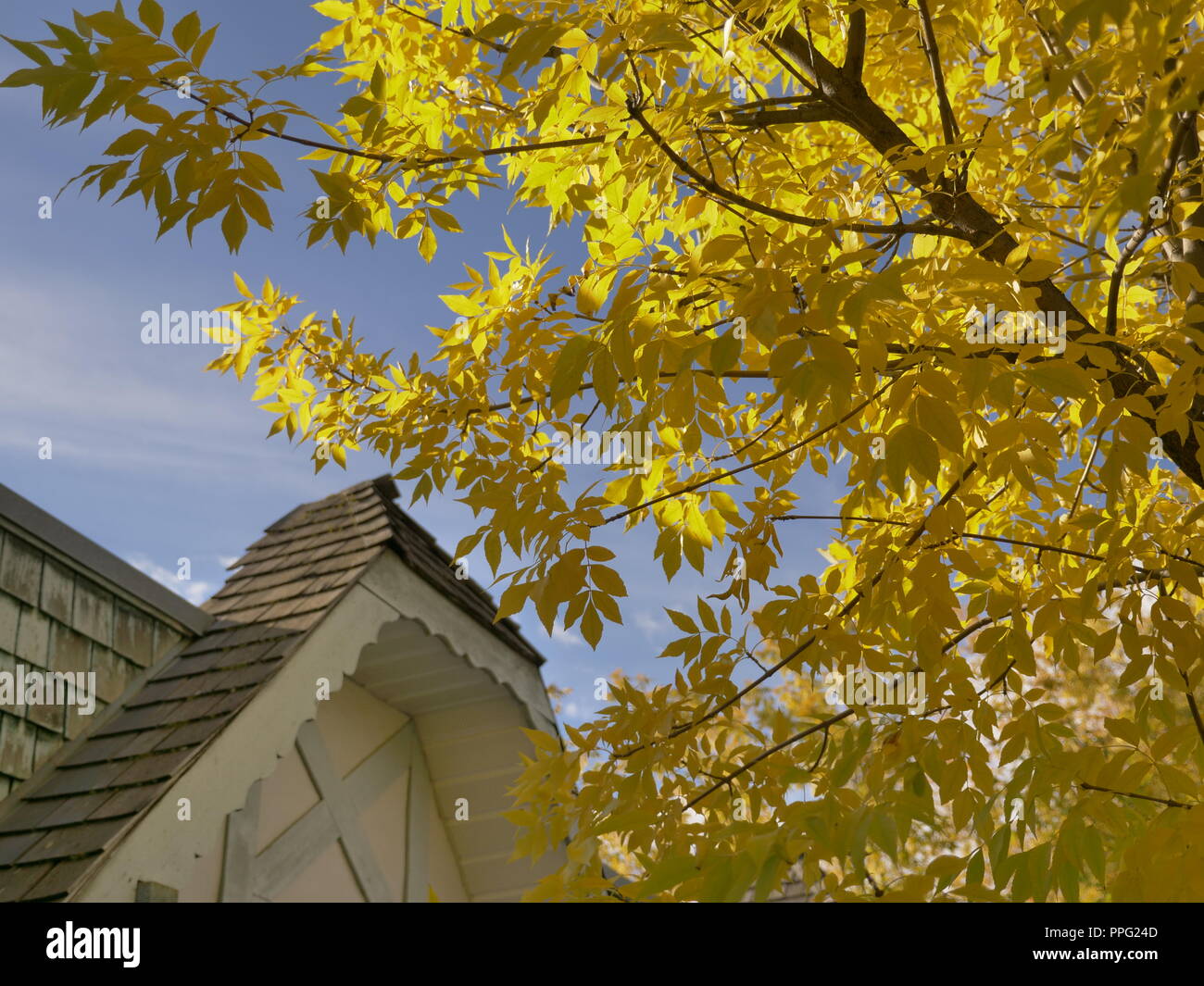 British columbia farm scenes hi-res stock photography and images - Alamy