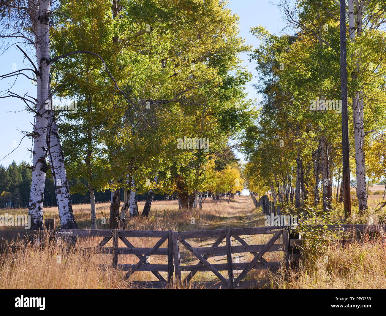 Autumn colors and scenes Stock Photo - Alamy