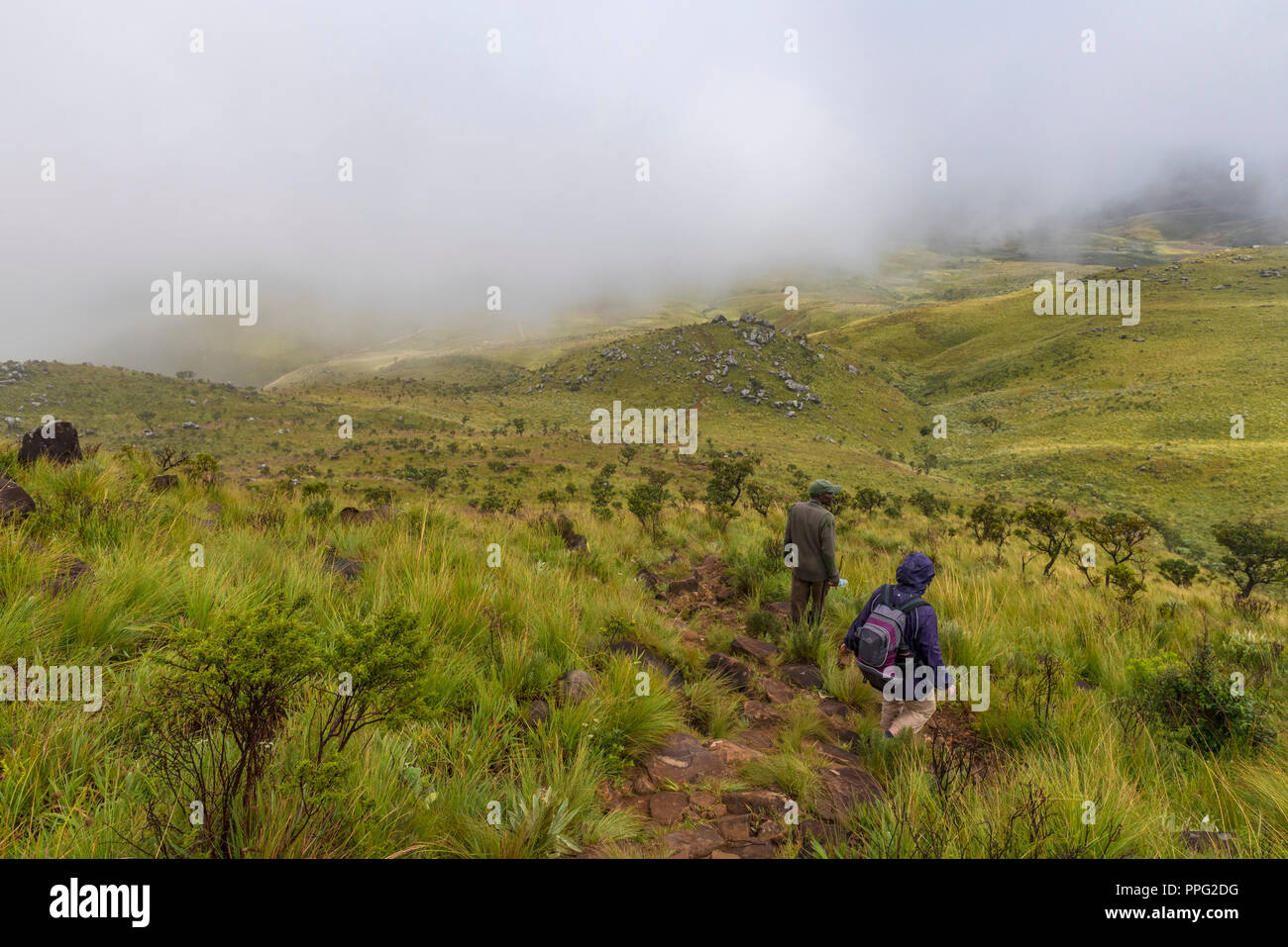 Rhodes nyanga hi-res stock photography and images - Alamy