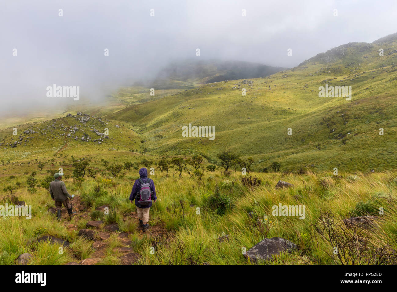 Rhodes nyanga hi-res stock photography and images - Alamy