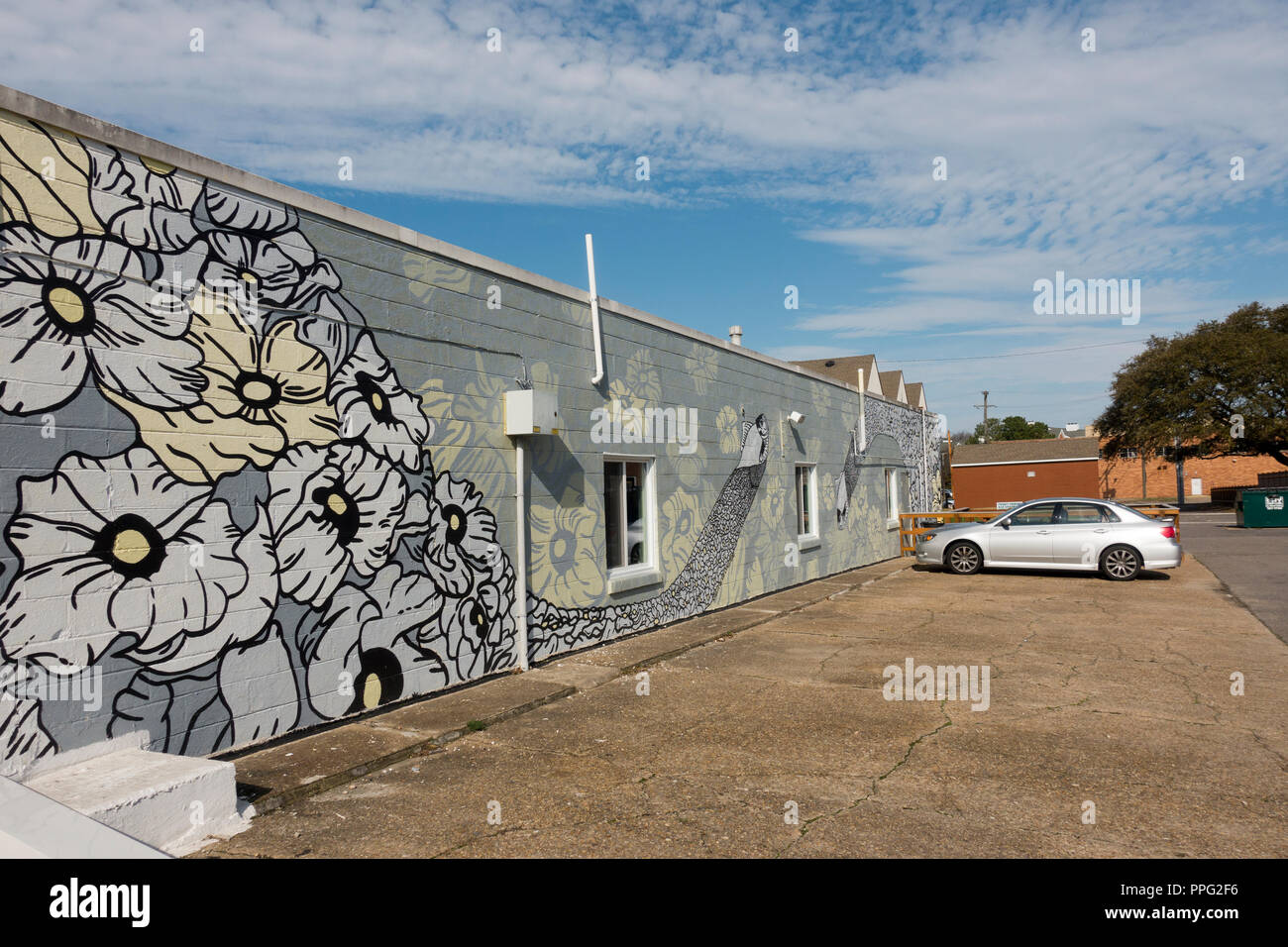 Funny murals hi-res stock photography and images - Alamy