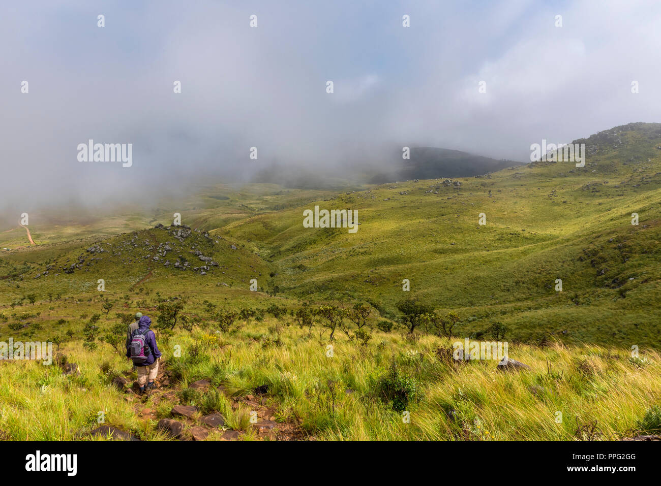 Rhodes nyanga hi-res stock photography and images - Alamy