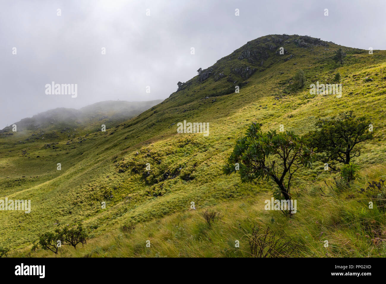 Views form the slopes of Mt Inyangani in Zimbabwe's Nyanga National ...
