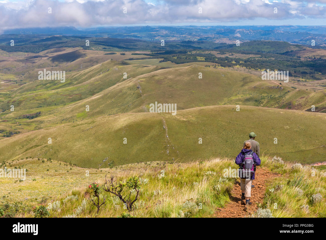 A hikers climbs the slopes of Mt Inyangani in Zimbabwe's Rhodes Nyanga ...
