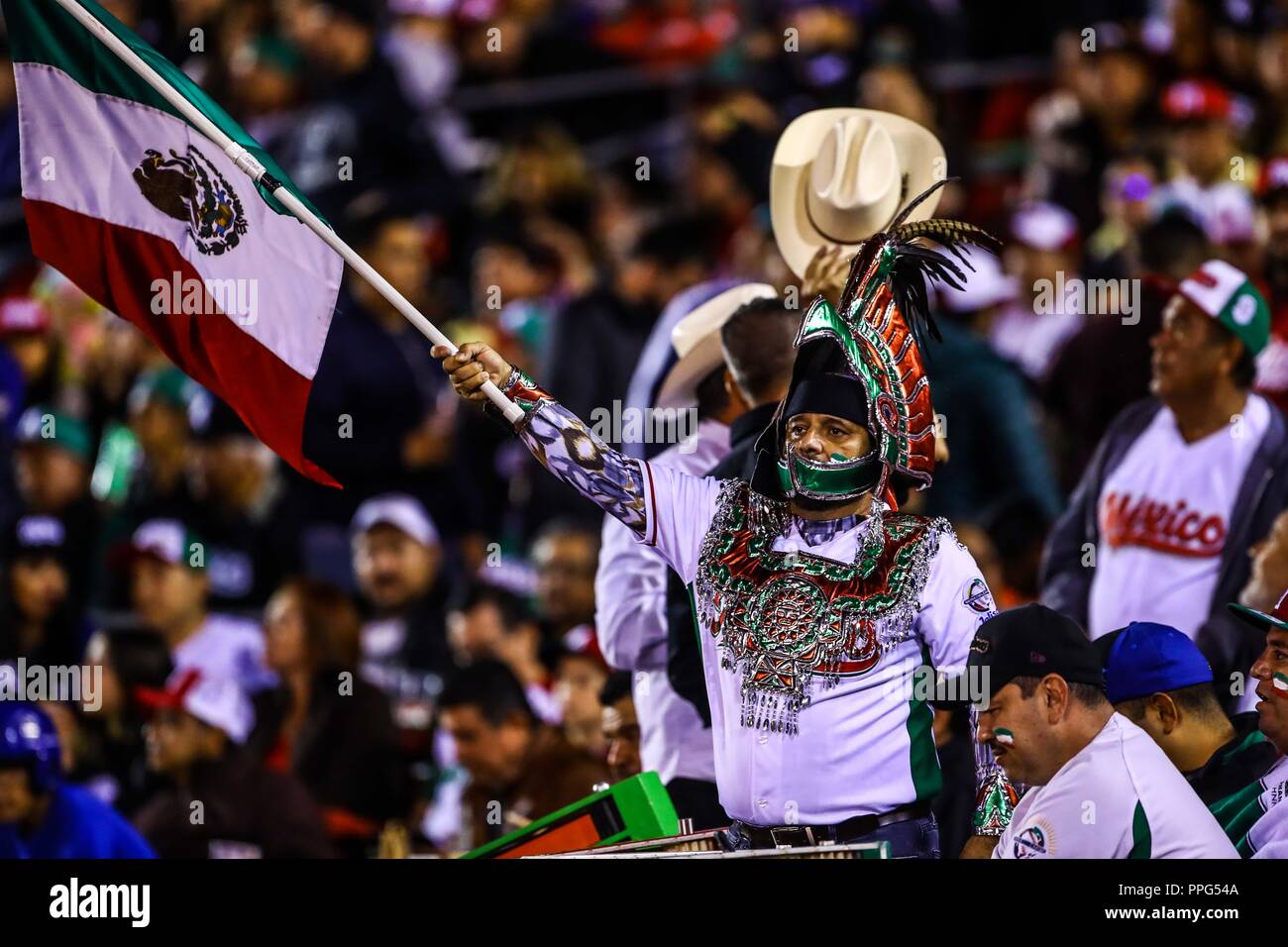 Bandera ondeando mexico hi-res stock photography and images - Alamy