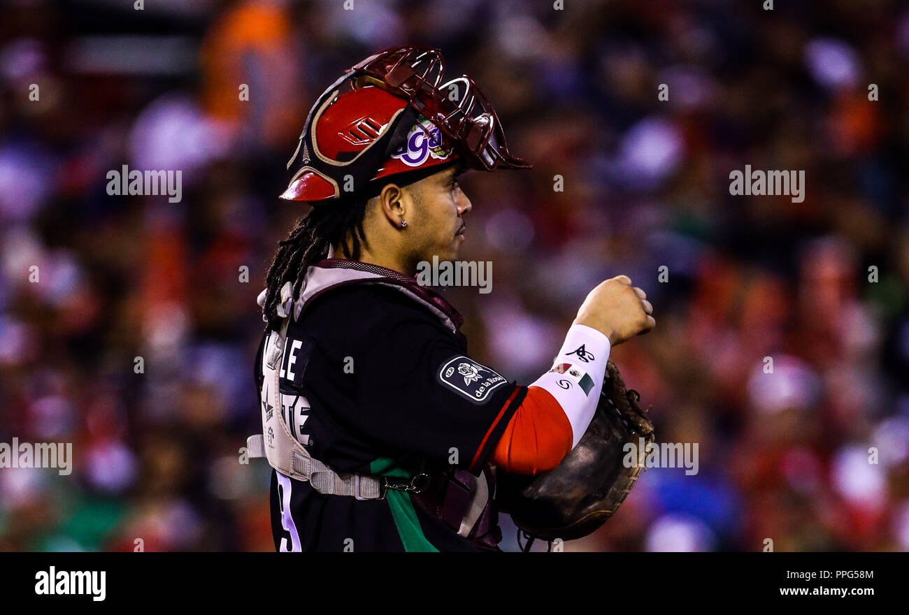 Sebastian Valle , durante el segundo día de actividades de la Serie del ...