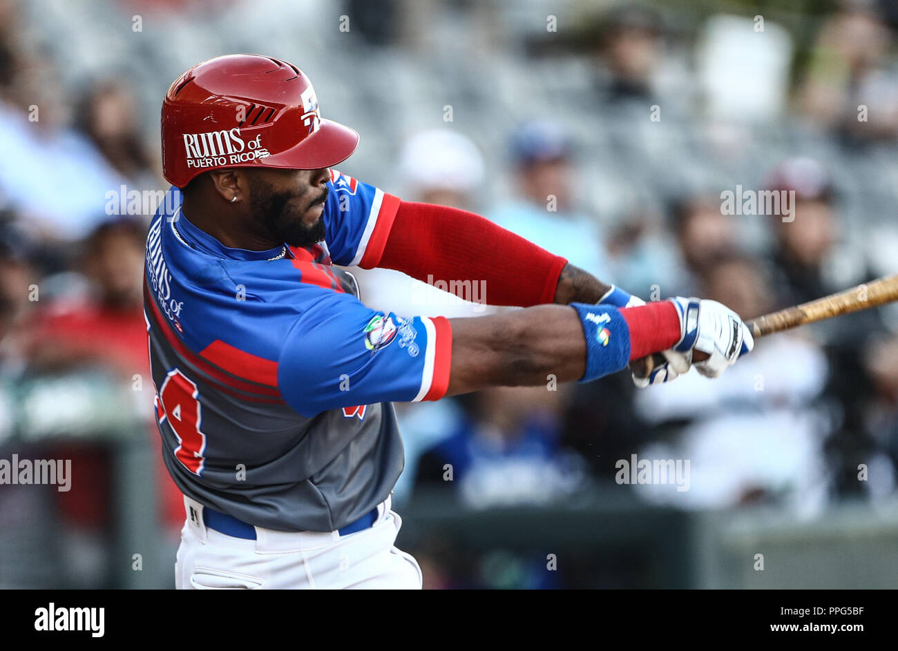 Anthony Garcia al bat por Puerto Rico. . Acciones, durante el partido ...