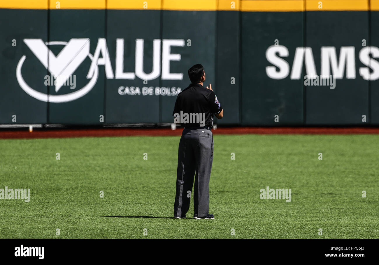 Ampayer, durante el partido de beisbol entre Criollos de Caguas de ...