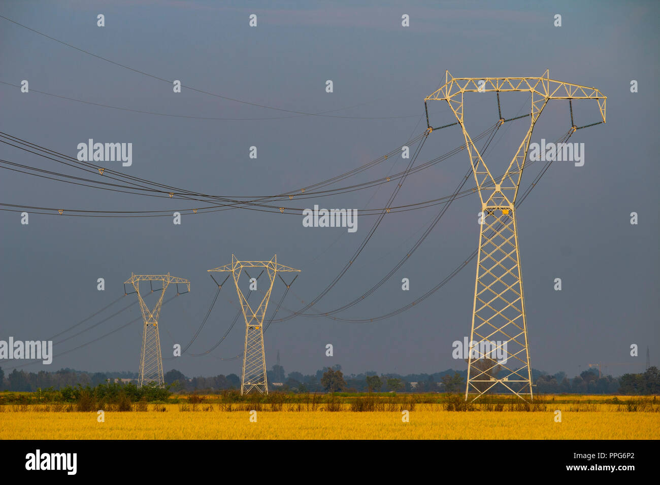 Power lines among rural field in Italy Stock Photo - Alamy
