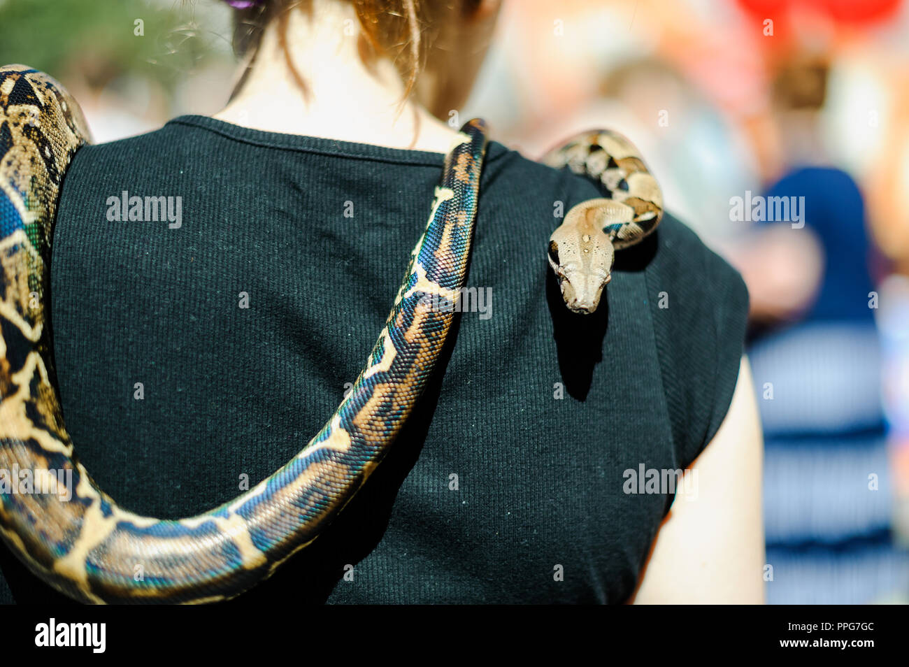 snake on the shoulders of a girl Stock Photo - Alamy