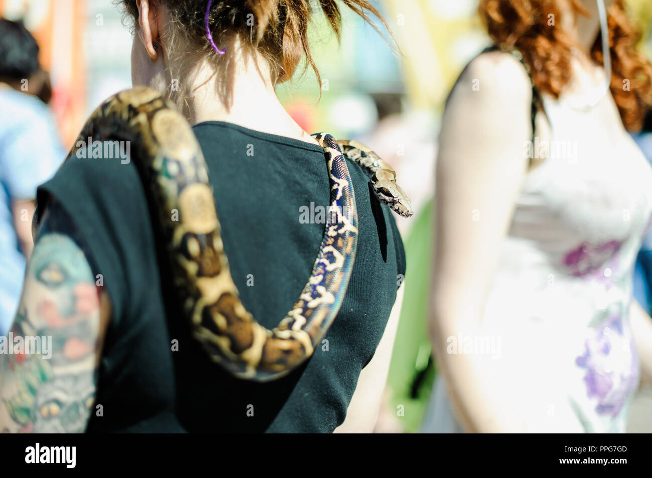 snake on the shoulders of a girl Stock Photo - Alamy