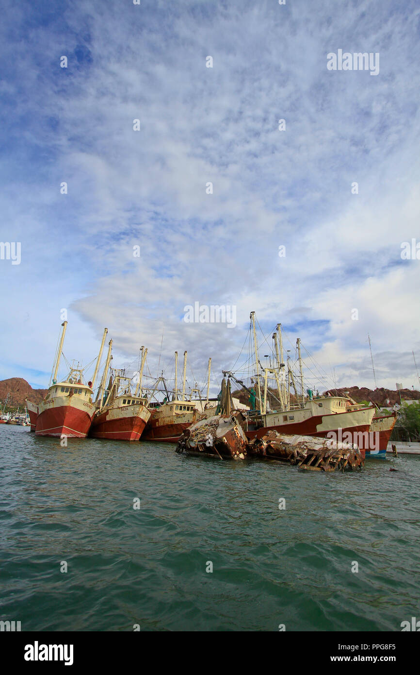 Report of the fishing port of Guaymas Sonora. Reportaje del puerto ...