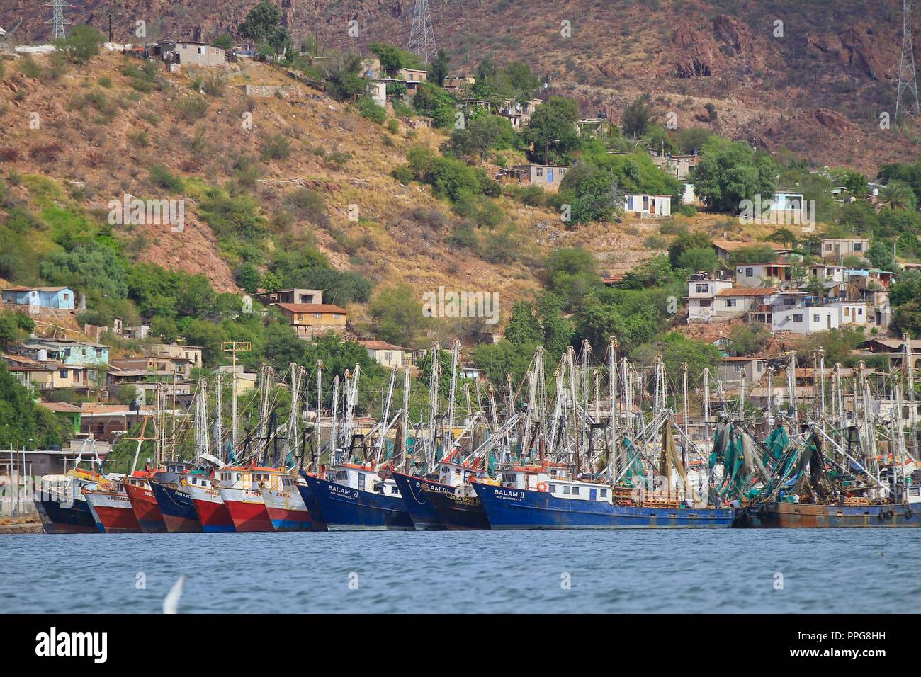 Report of the fishing port of Guaymas Sonora. Reportaje del puerto ...
