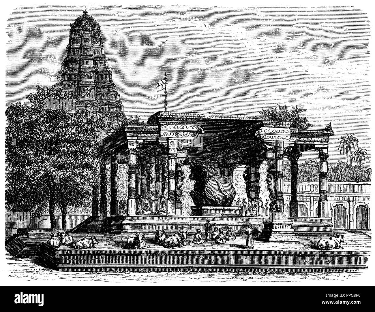 Tandor hi-res stock photography and images - Alamy