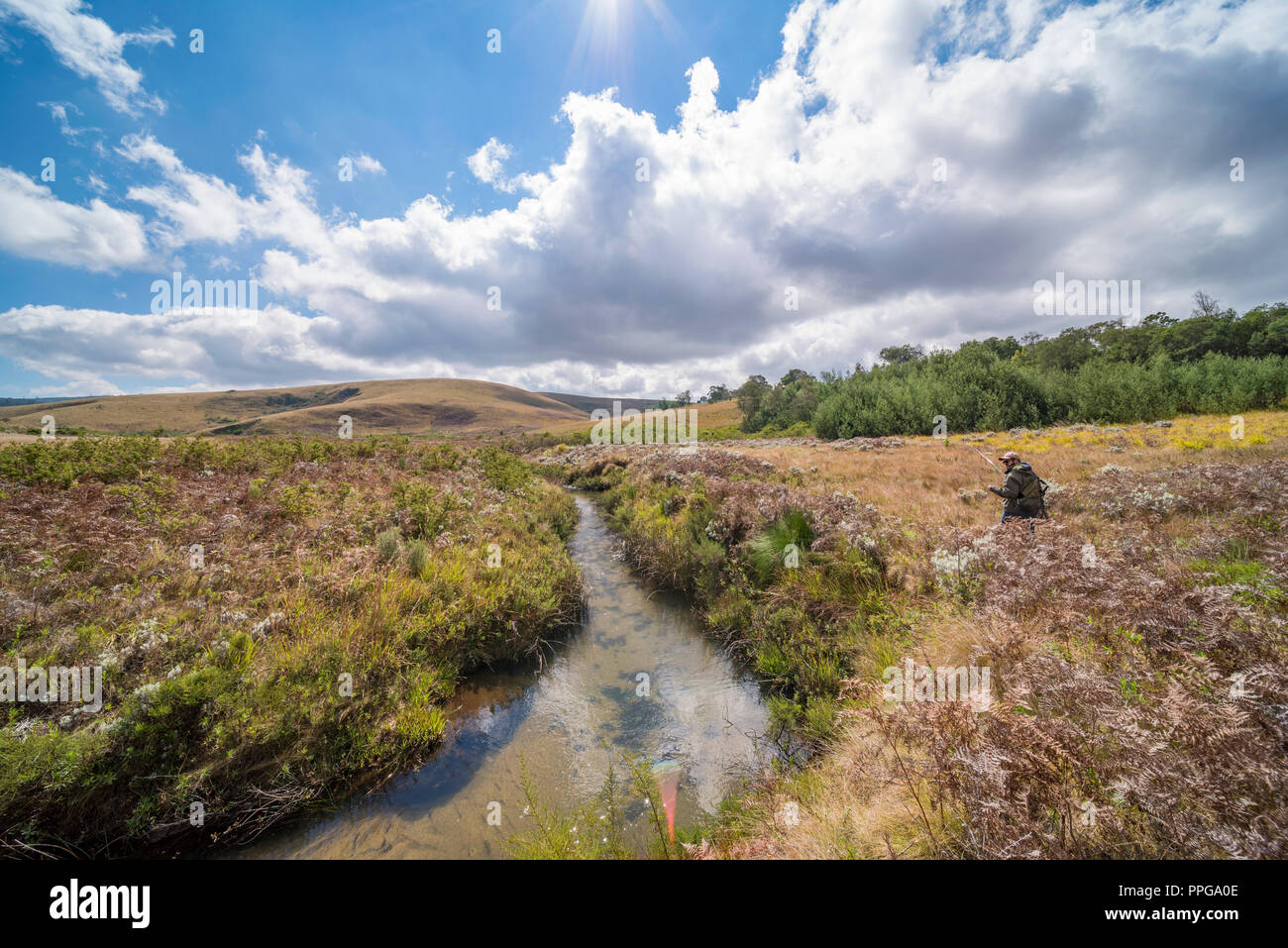 A fly fisherman plies the wild rivers of Nyanga National Park in ...