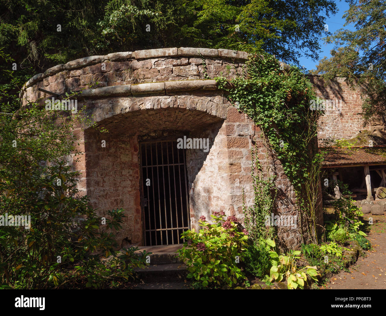 castle in the german pfalz Stock Photo - Alamy