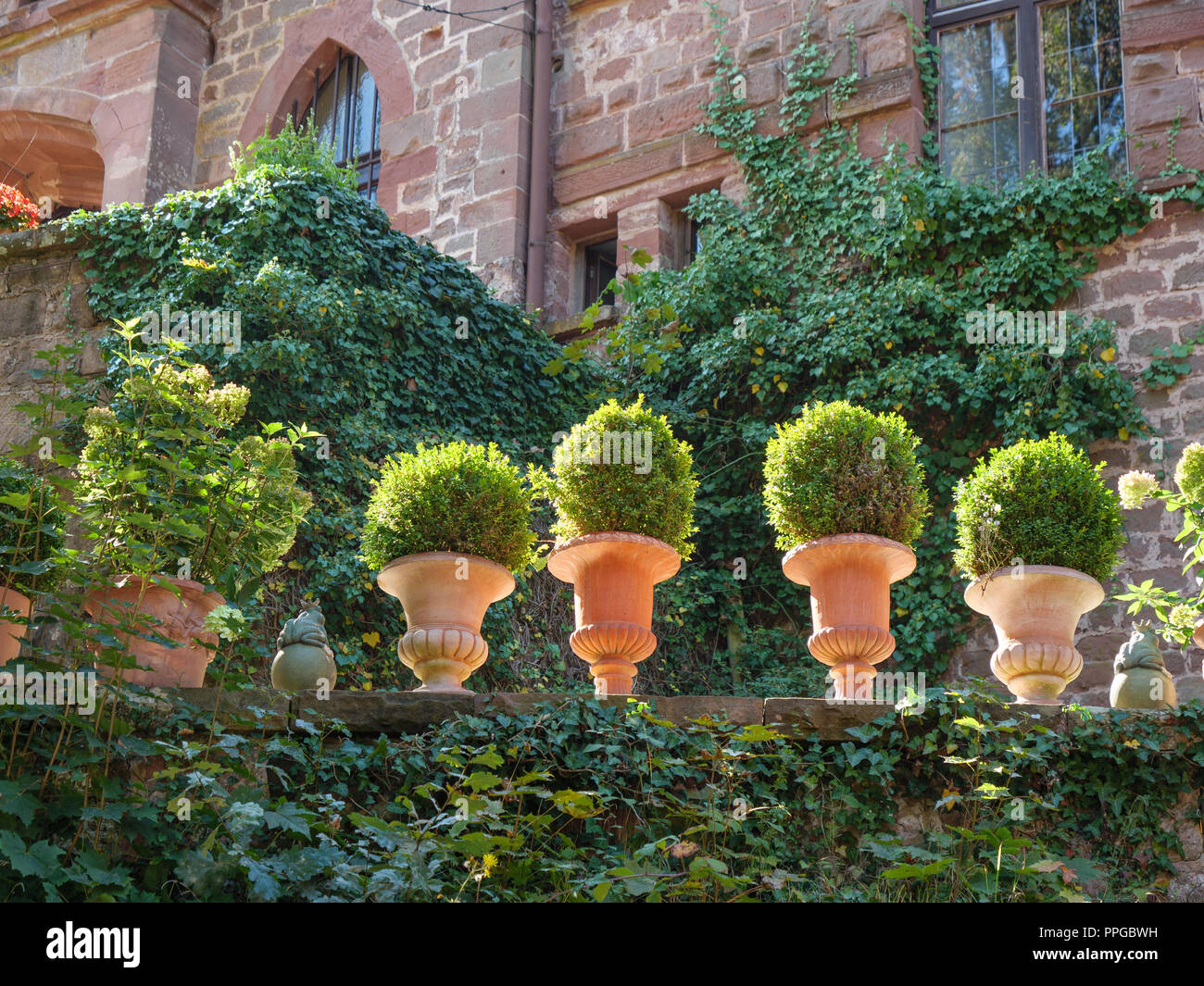 castle in the german pfalz Stock Photo - Alamy