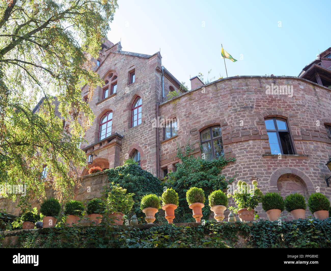castle in the german pfalz Stock Photo - Alamy