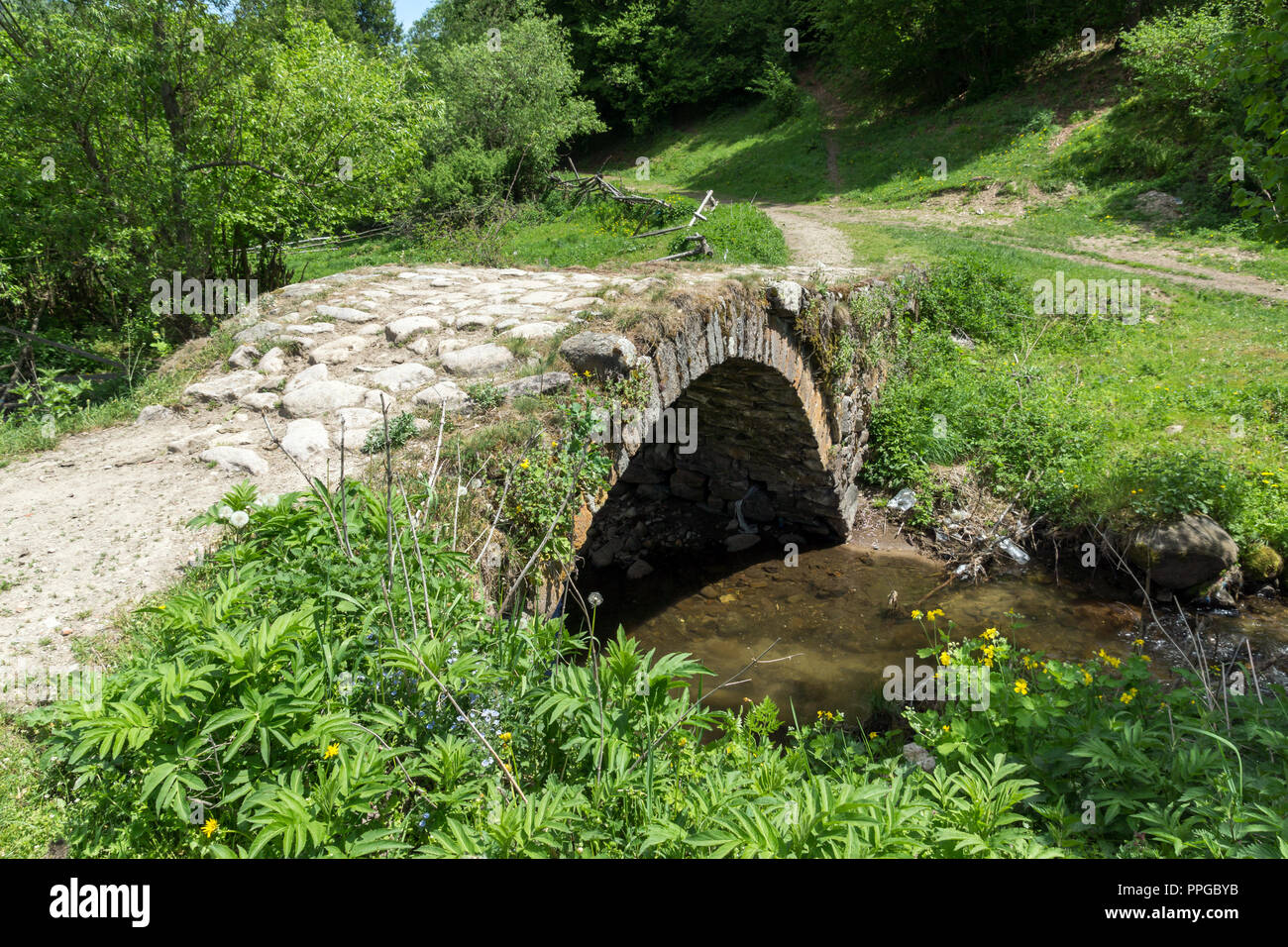 Stone bridge over Fotinovo River near village of Fotinovo in Rhodopes ...