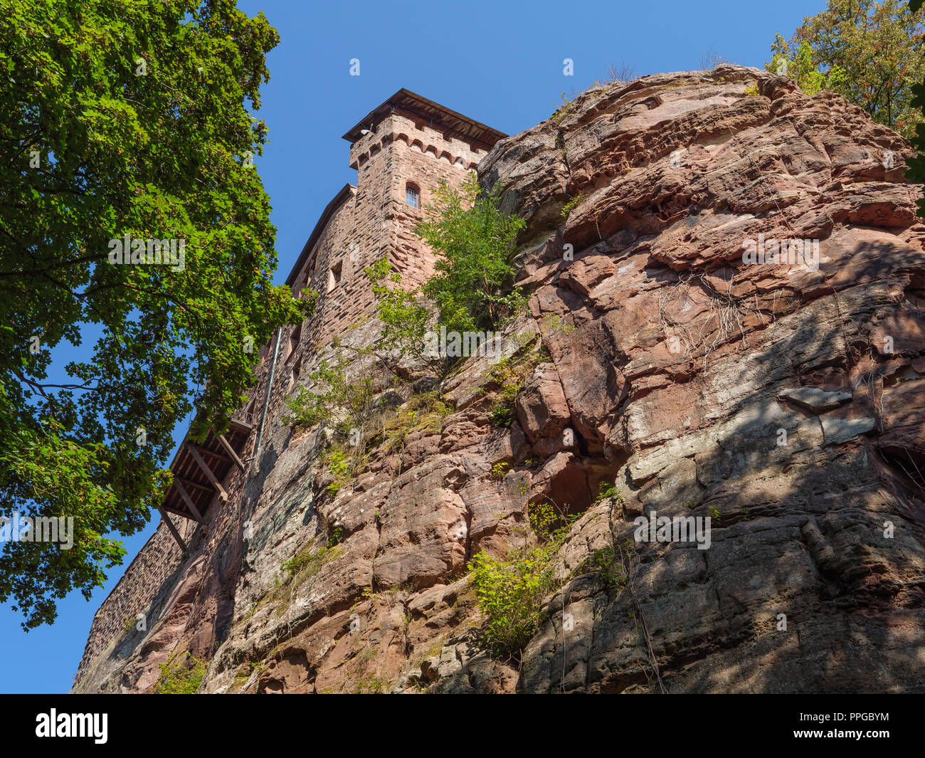 castle in the german pfalz Stock Photo - Alamy