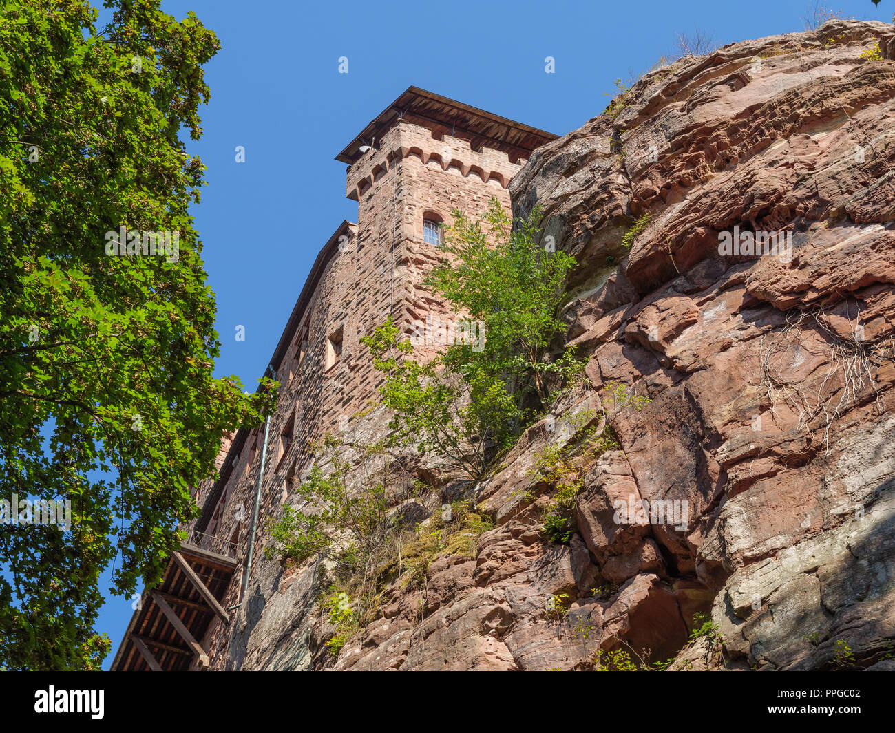 castle in the german pfalz Stock Photo - Alamy