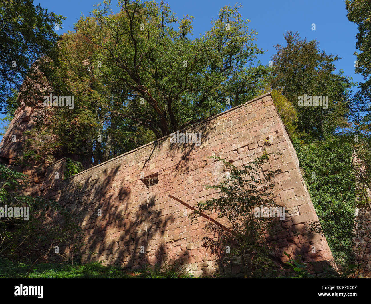 castle in the german pfalz Stock Photo - Alamy