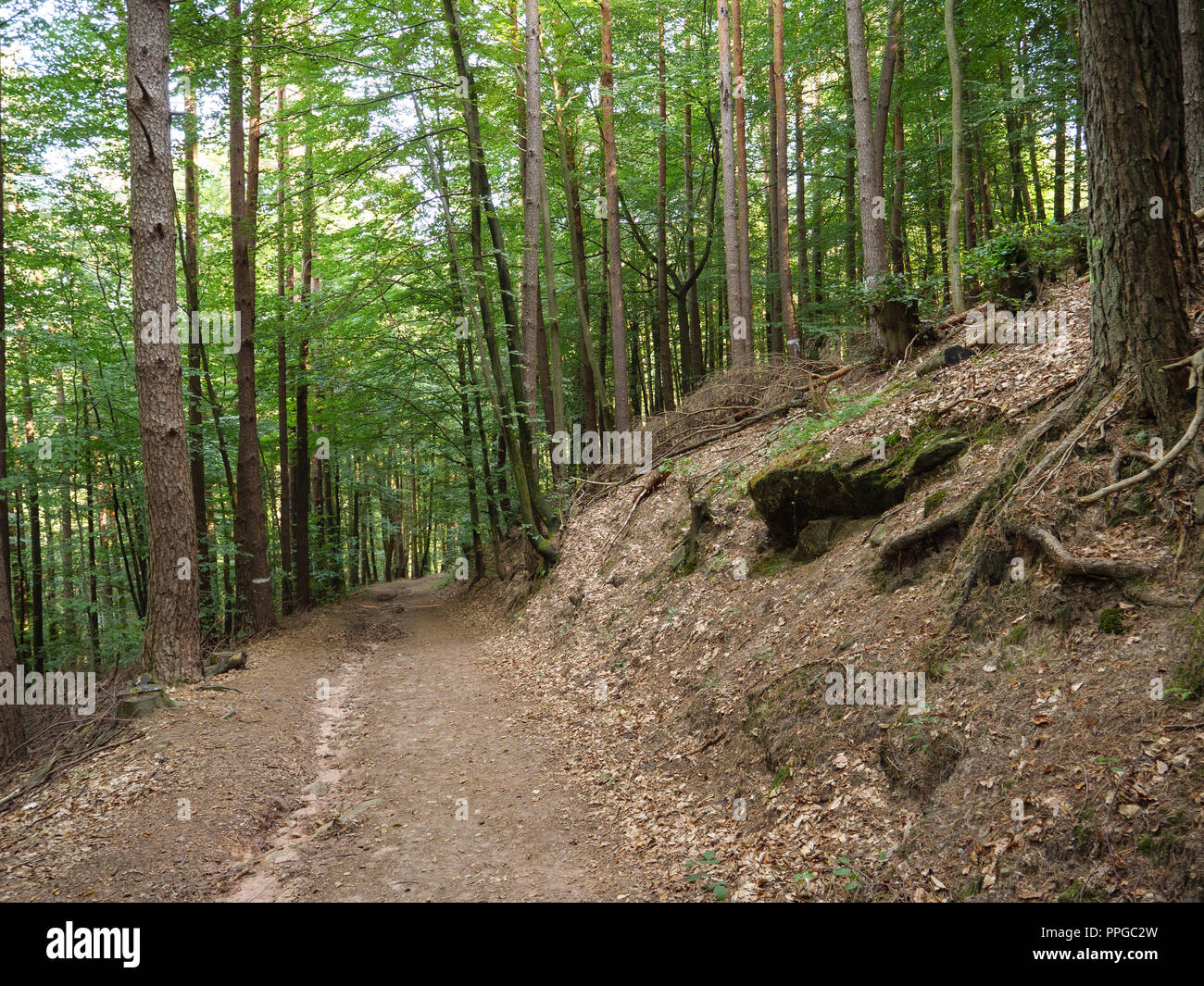 castle in the german pfalz Stock Photo - Alamy