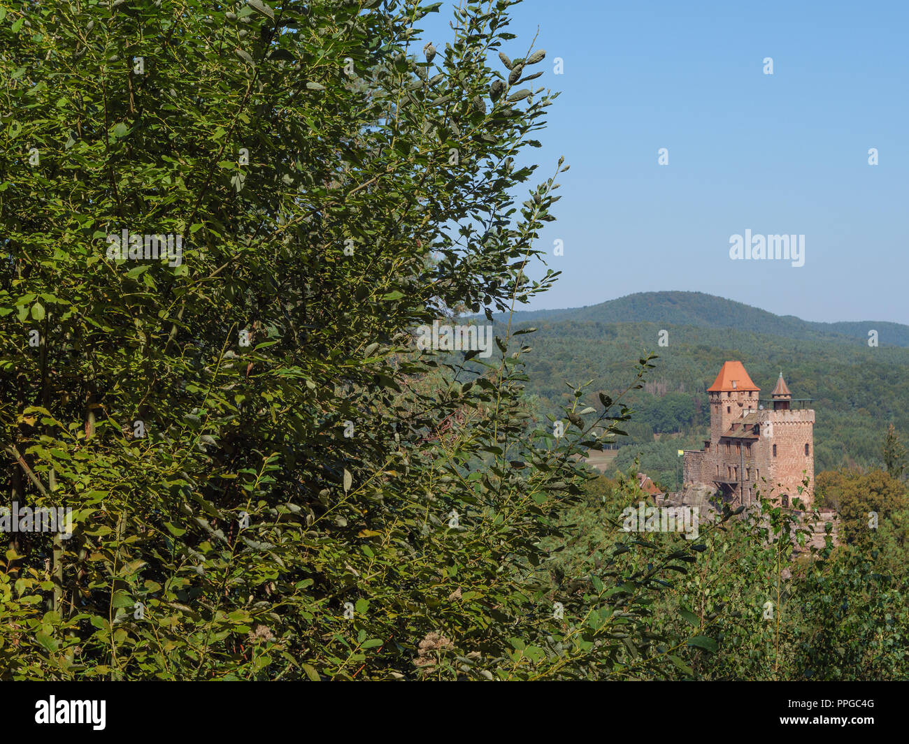 castle in the german pfalz Stock Photo - Alamy