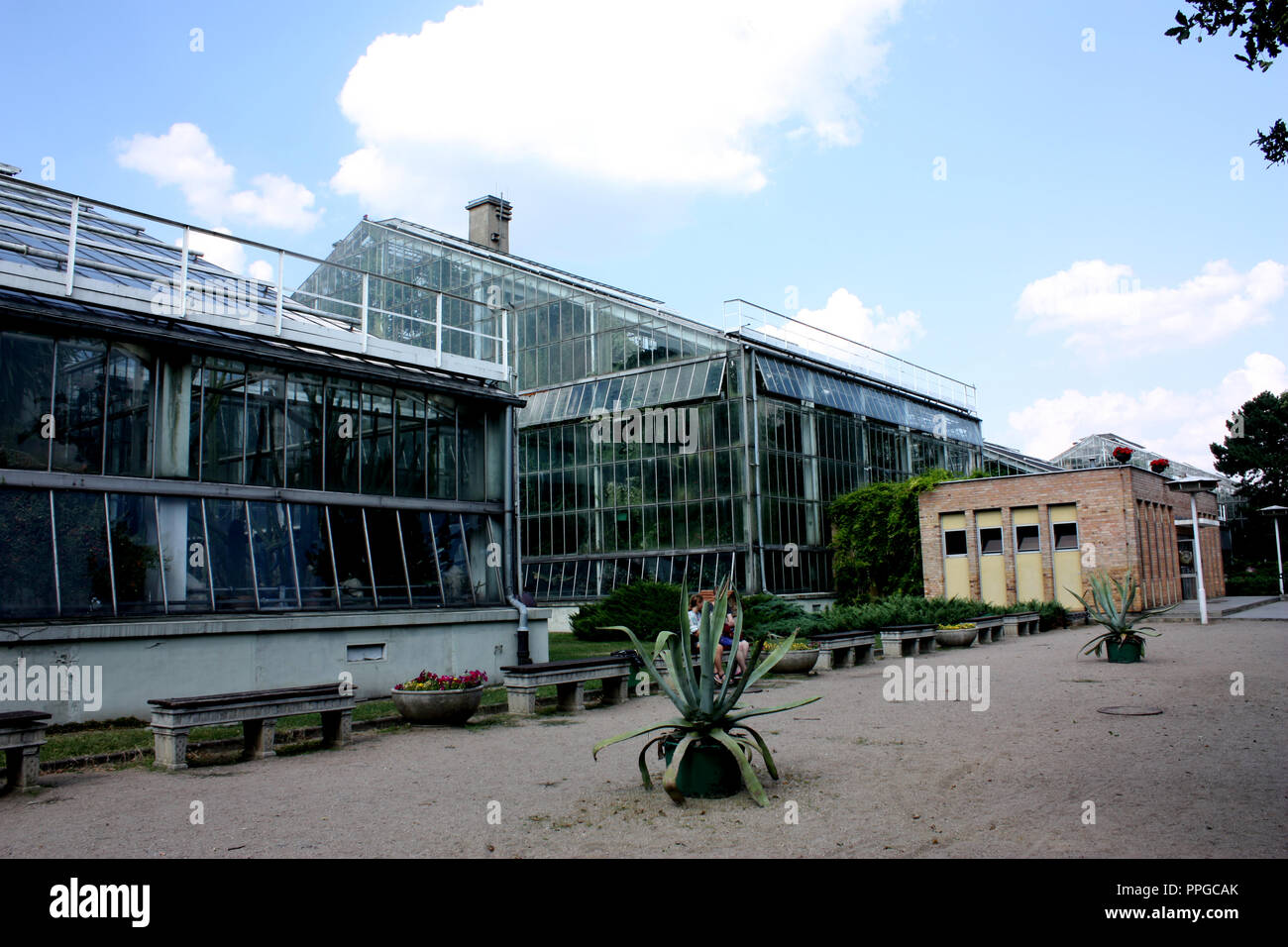 The Palm House in Park Wilsona in Poznan, Poland Stock Photo - Alamy