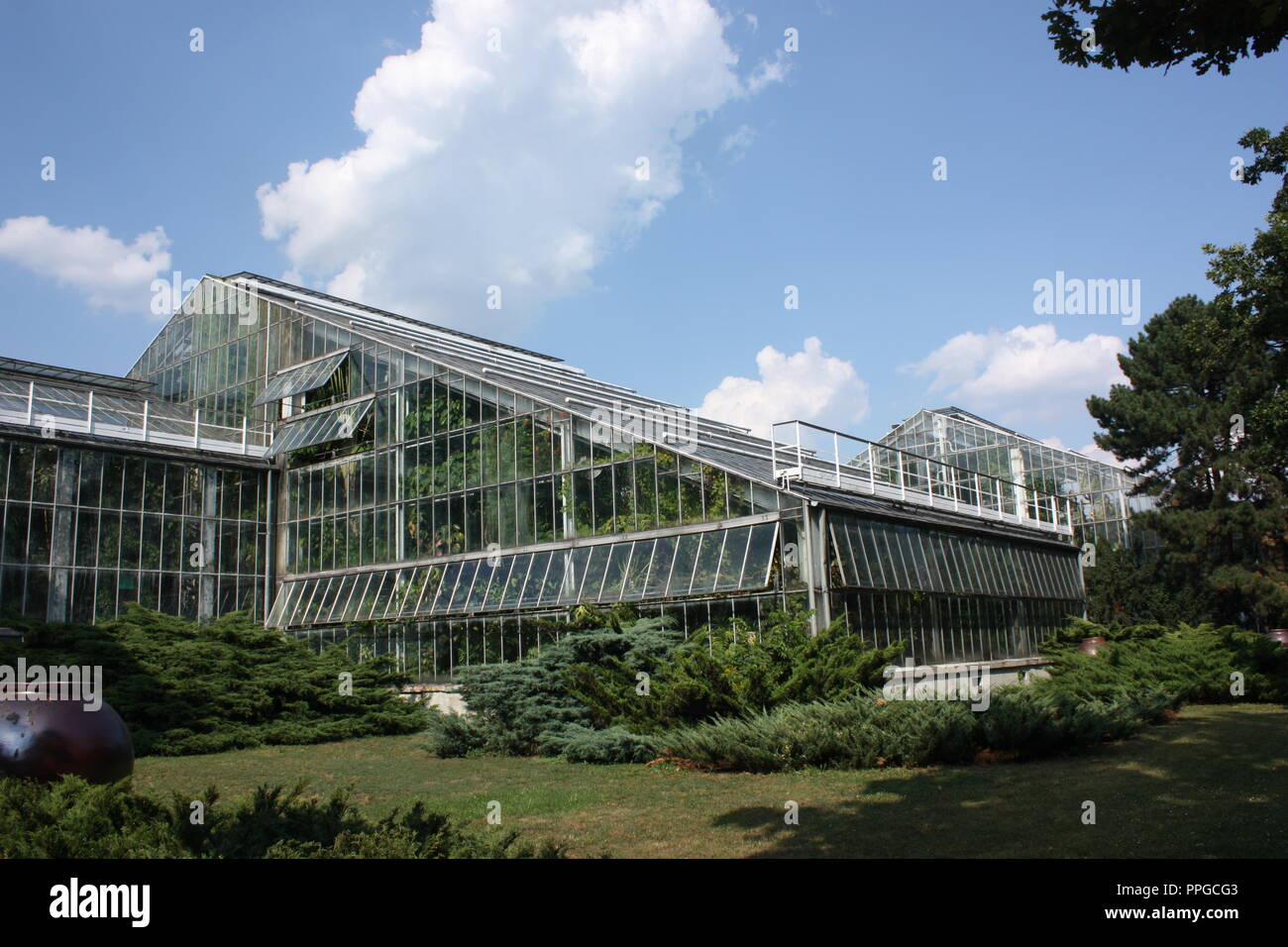 The Palm House in Park Wilsona in Poznan, Poland Stock Photo - Alamy