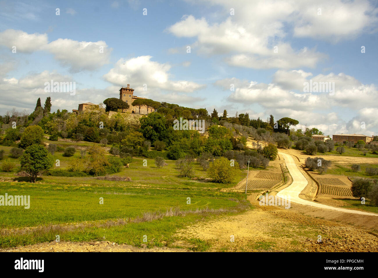 Landscape of tuscan countryside, Val di Chiana, Siena Stock Photo - Alamy