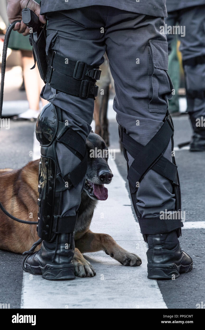 Policeman's legs standing on the street with his dog Stock Photo - Alamy