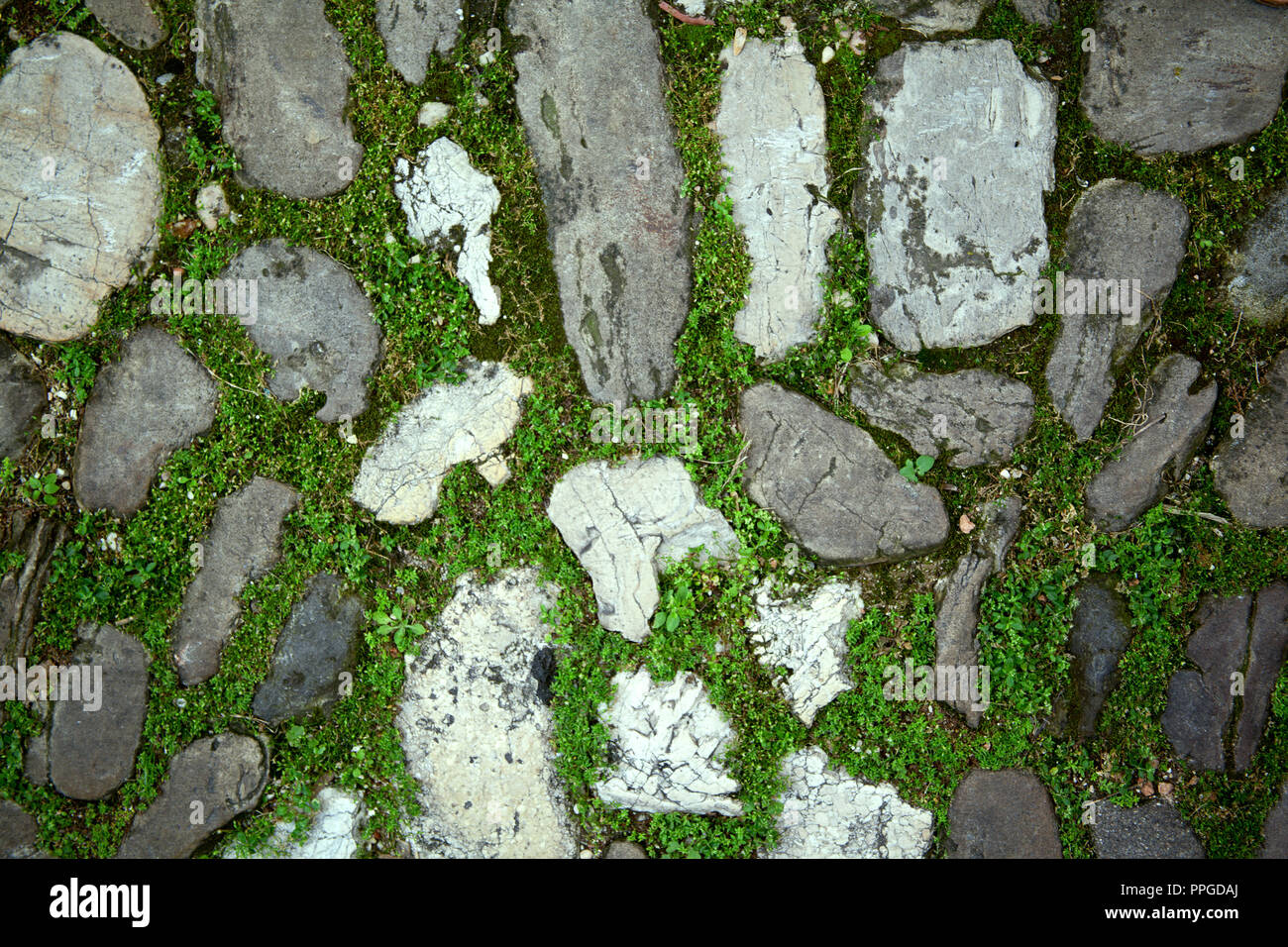 Mossy brick pavement texture hi-res stock photography and images - Alamy