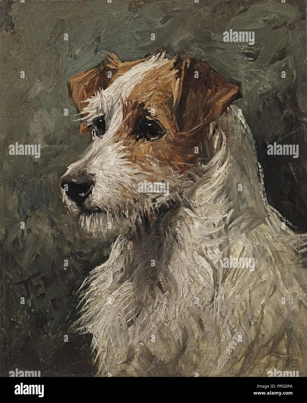 John jack russell hi-res stock photography and images - Alamy